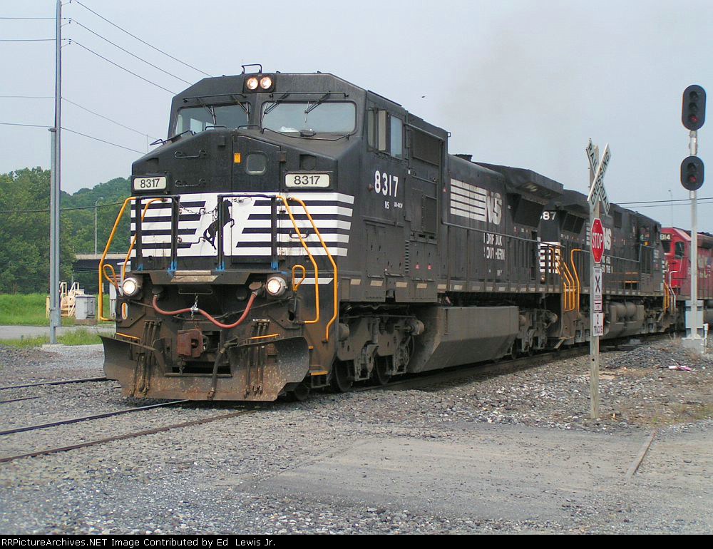 NS 8317